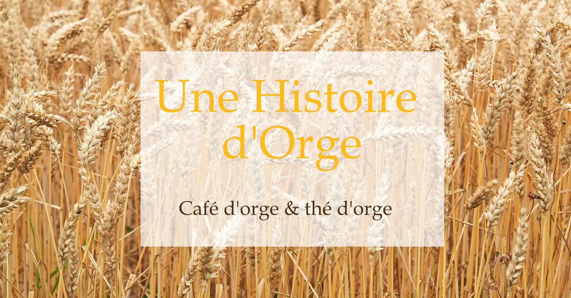 histoire d'orge, le café d'orge bio de fabrication artisanale